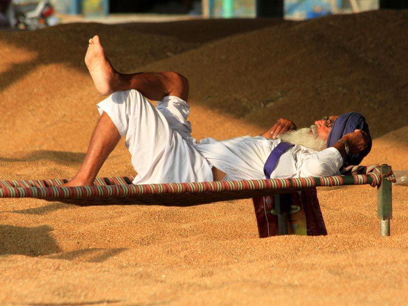 Arrangements in place for wheat procurement: Atwal | Hindustan Times