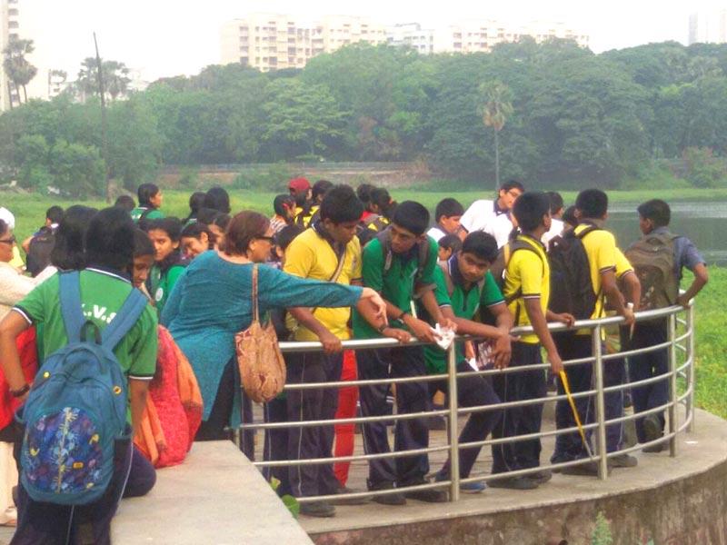 Mumbai: Nature workshops to help teachers learn green lessons | Mumbai news