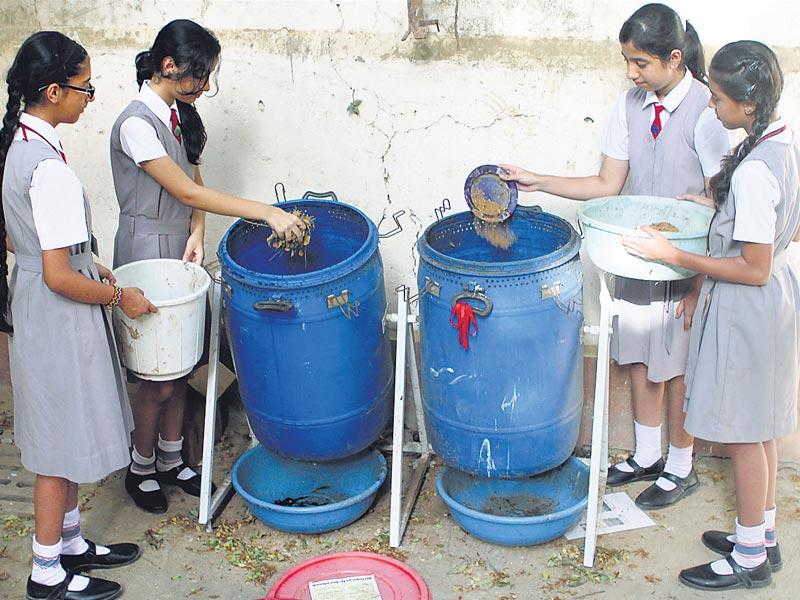 Mumbai school kids set green example, convert 1,000kg waste into ...