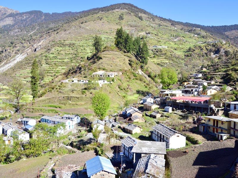 Back to the roots: This U'khand village bucks the trend of migration ...