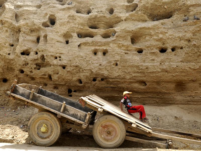 What did Harappans eat, how did they look? Haryana has the answers ...