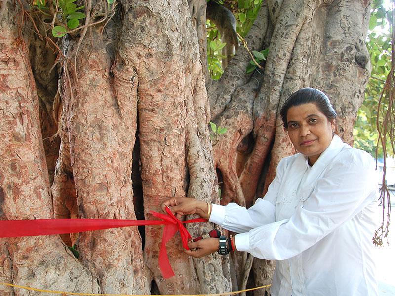 Guns to Roses: Bandit queen Seema Parihar turns environmentalist ...