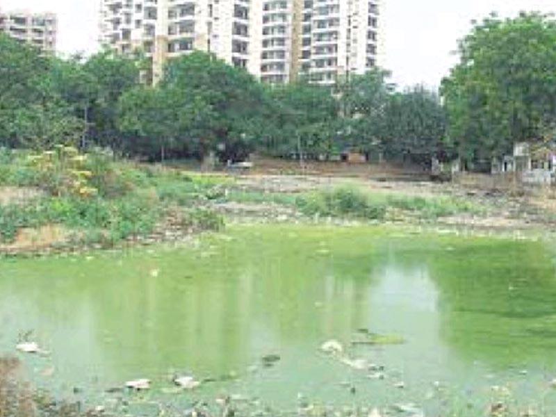 Pollution department seeks more time for sewage disposal plan ...