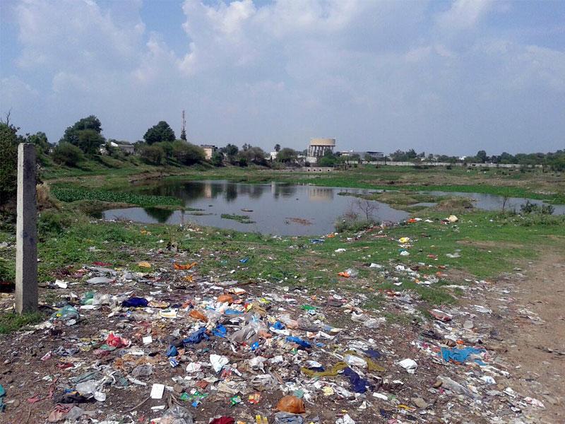 Stinky pond bane of residents of Sandhwan village in Faridkot ...