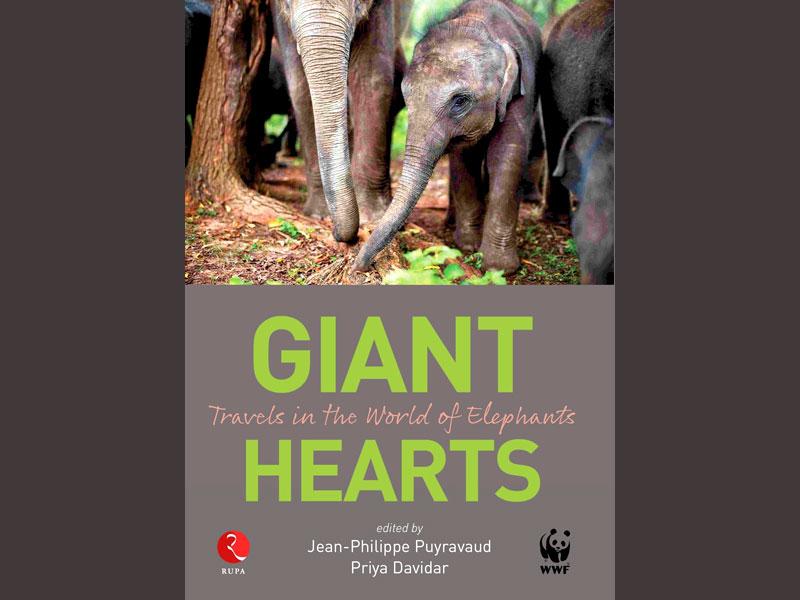 Heart-warming book that takes us into the world of elephants ...