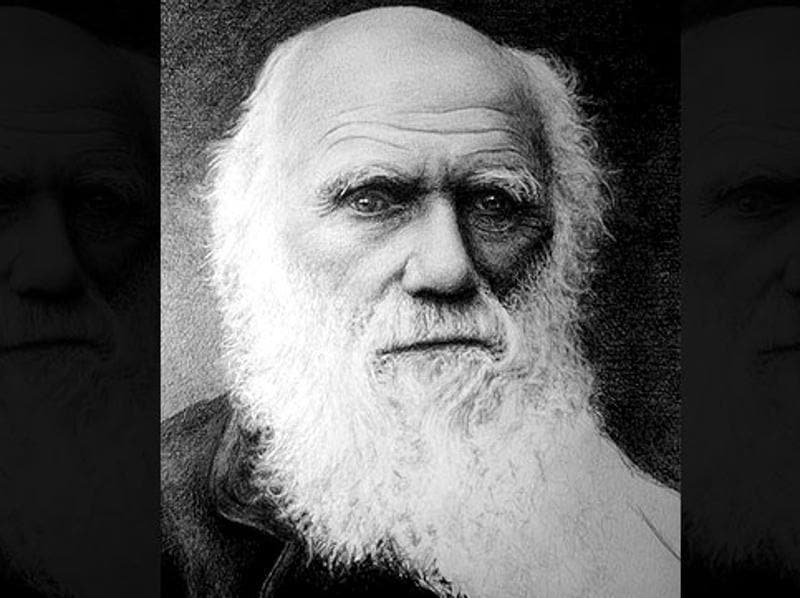 Darwin’s letter on Bible and God fetches $197,000 | World News