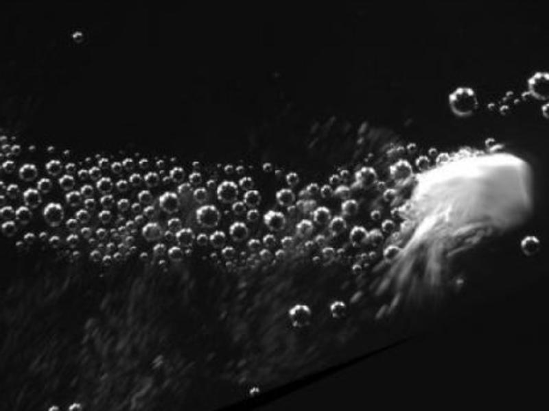 Now a powder that promises to stop bleeding after gunshot | Health