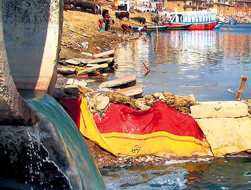 Tell us one place where Ganga is clean? Green tribunal asks govt ...