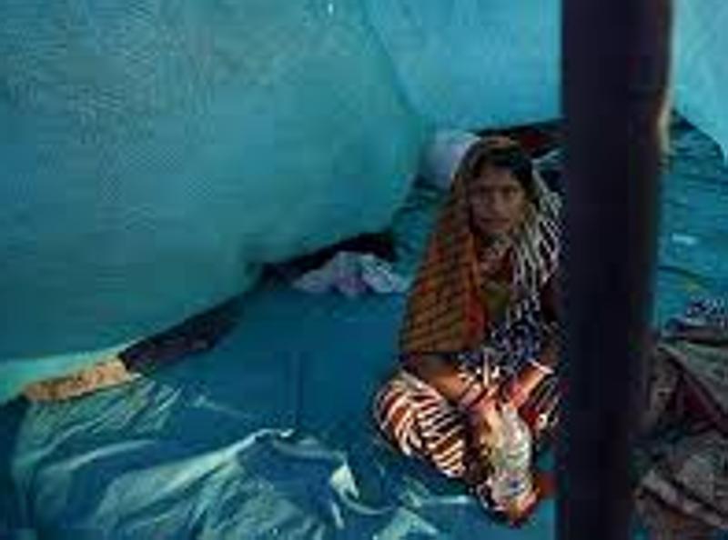 Administration to open shelter homes for needy | Hindustan Times