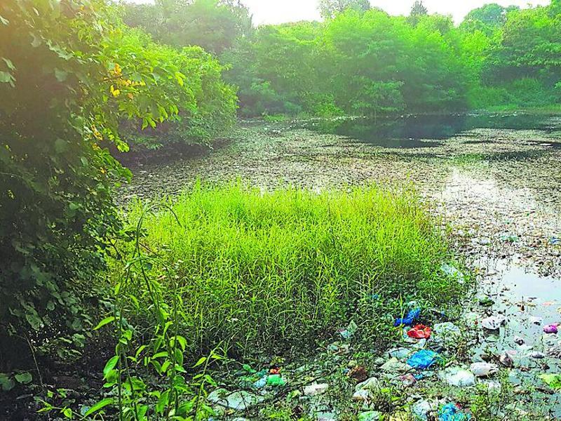 A lake in Mumbai’s Aarey colony to become picnic spot | Mumbai news