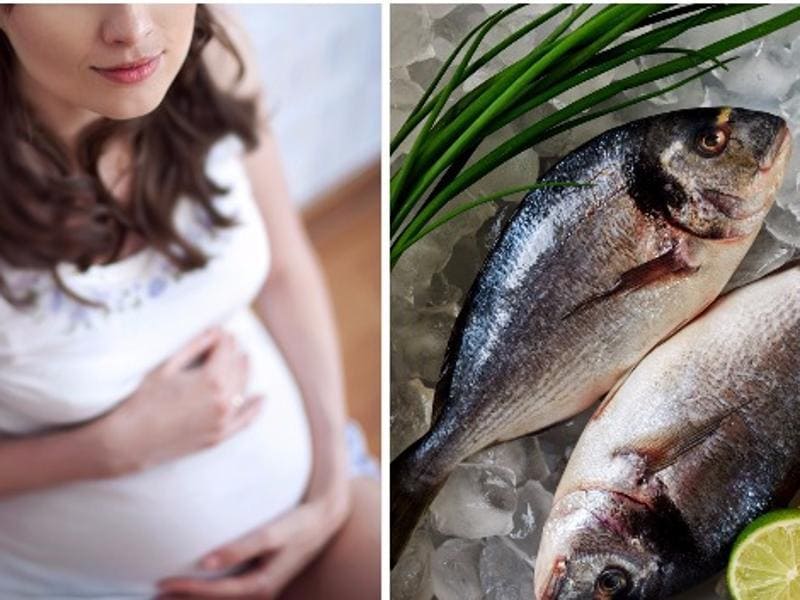 Why fish intake by pregnant women improves growth of baby’s brain ...