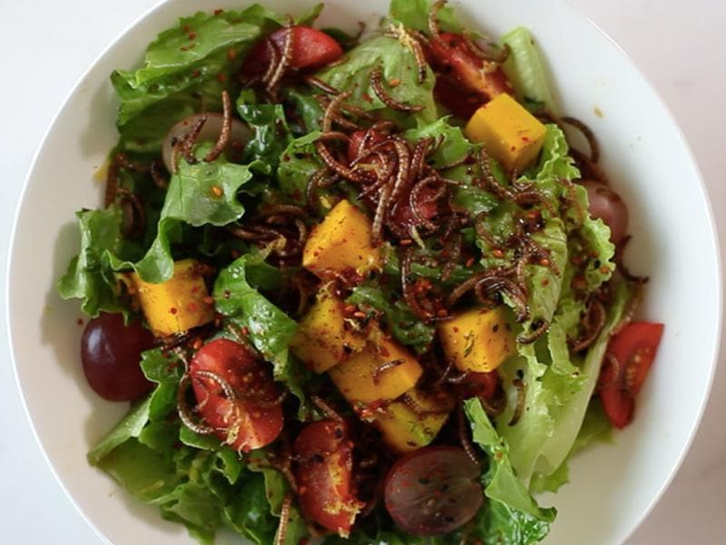 Are bugs the new beef? How and why they should be in your diet | Health ...