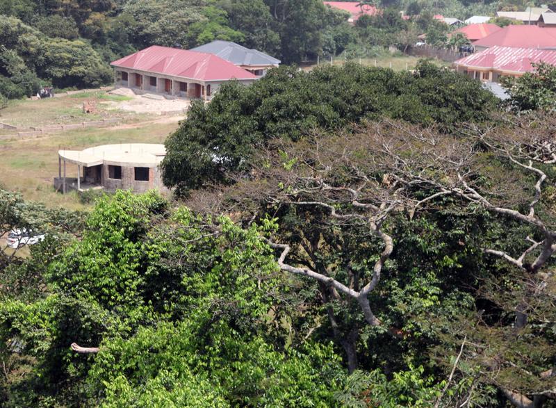 Into Zika’s heart: the Ugandan forest where virus was found | World News