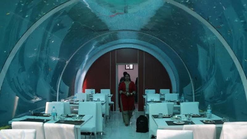 Watch | India gets first underwater restaurant in Ahmedabad | Hindustan ...