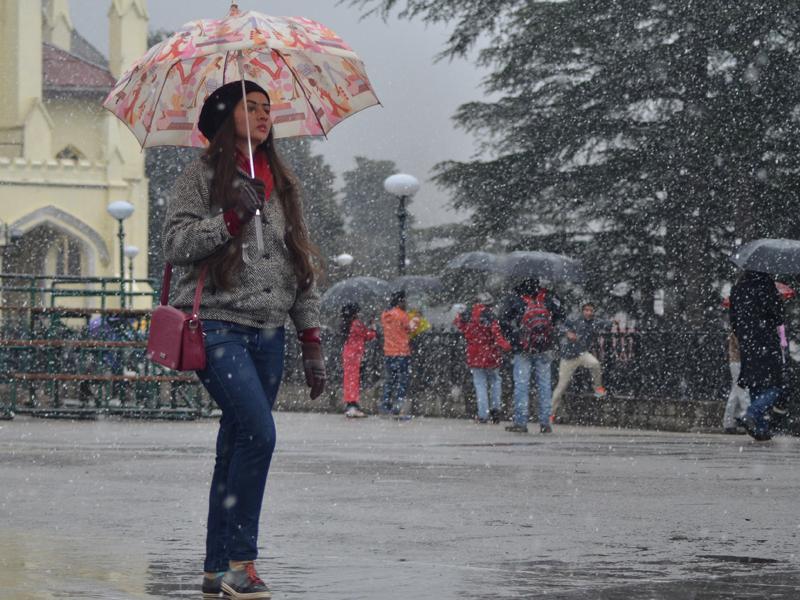 Fresh snowfall in Shimla, other Himachal towns; farmers, tourists cheer ...
