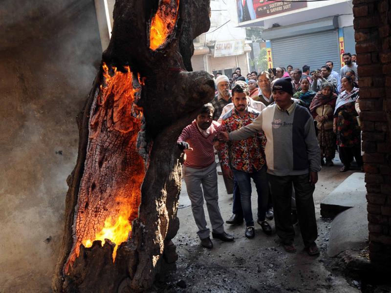People see ‘god’ in burning tree at Patiala | Hindustan Times