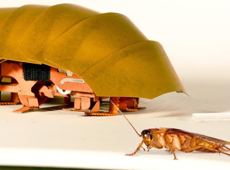 Watch | Cockroach inspired robots | Hindustan Times