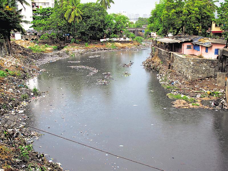 Poisar river’s pollution 100 times higher than safe limit | Mumbai news