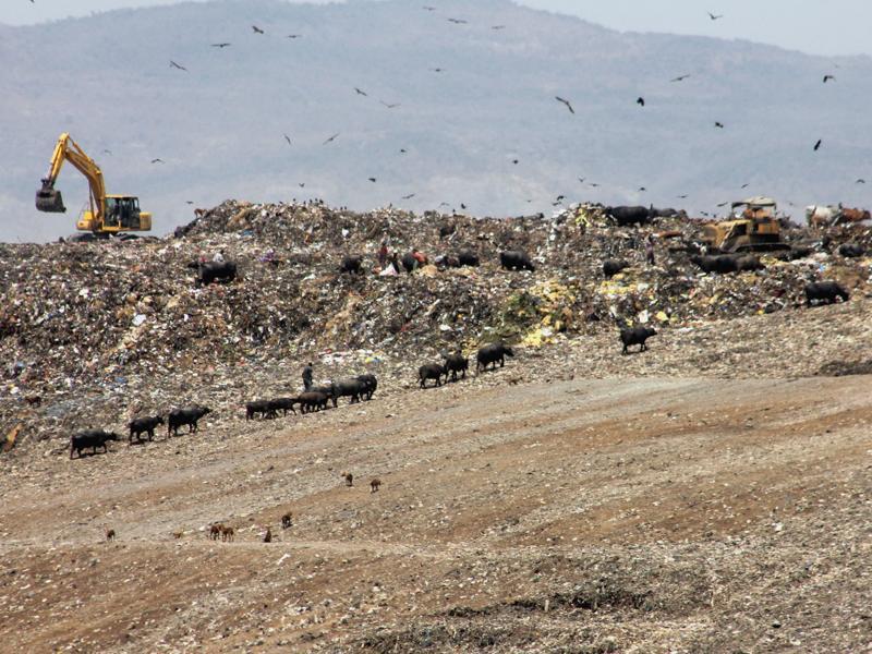 Who is to blame for the mess at Deonar? | Mumbai news