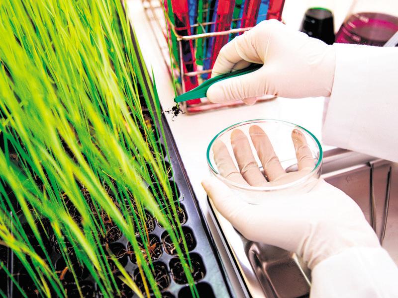 Sow the seeds of a career with botany | Hindustan Times