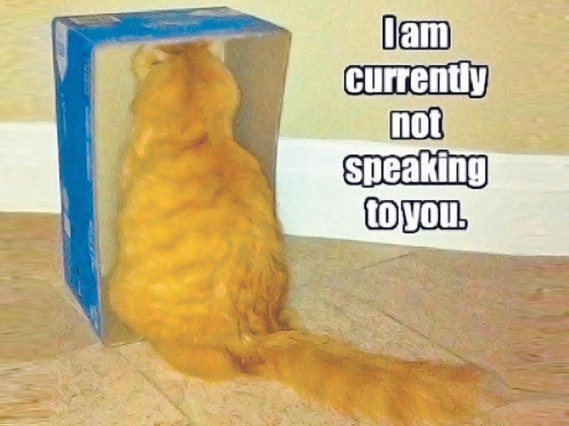 Don’t become the incredible sulk! | Hindustan Times