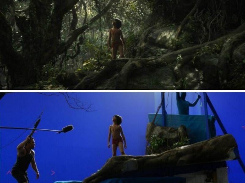 The Jungle Book: How an LA building transformed into jungles of India ...