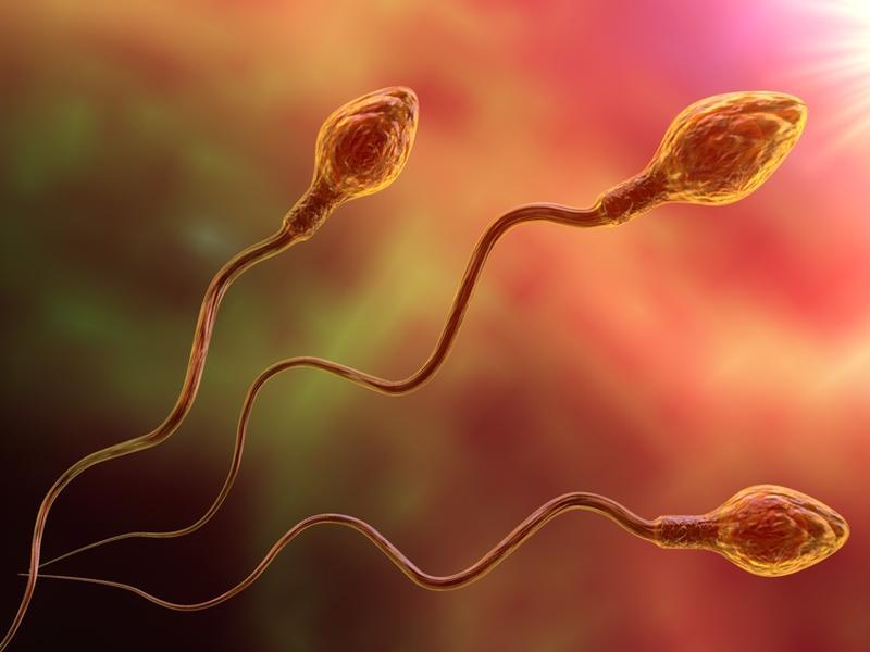 Now, scientists turn human skin cells into sperms | Health