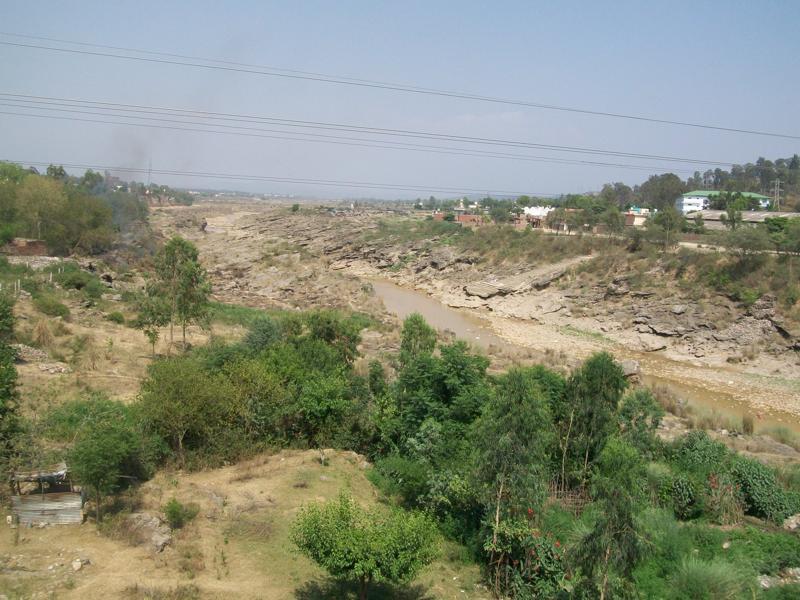 Chakki river on verge of drying up in Pathankot | Hindustan Times