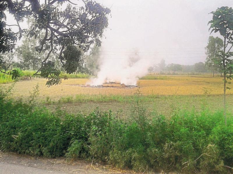 Muck Fire In Tangerine