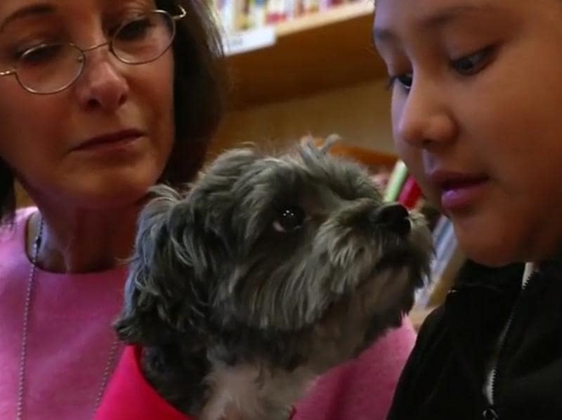 Watch | How therapy dogs are helping immigrant kids to read better ...