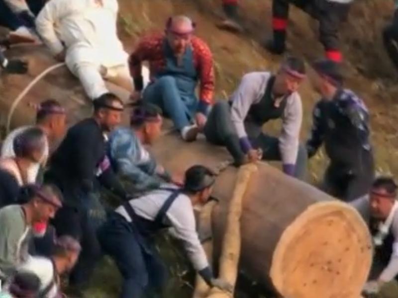 Watch | How Japanese men risk lives in ancient log-riding festival ...