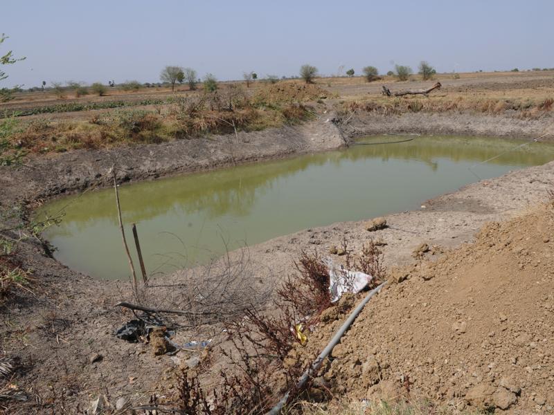 Save water, earn money: Dewas farmers script a success story ...