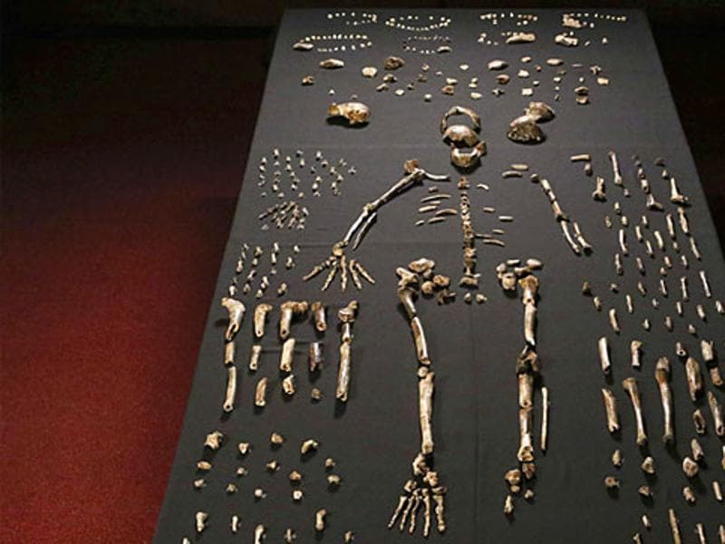 France unearths bones from 6,000-yr-old Neolithic massacre | World News ...