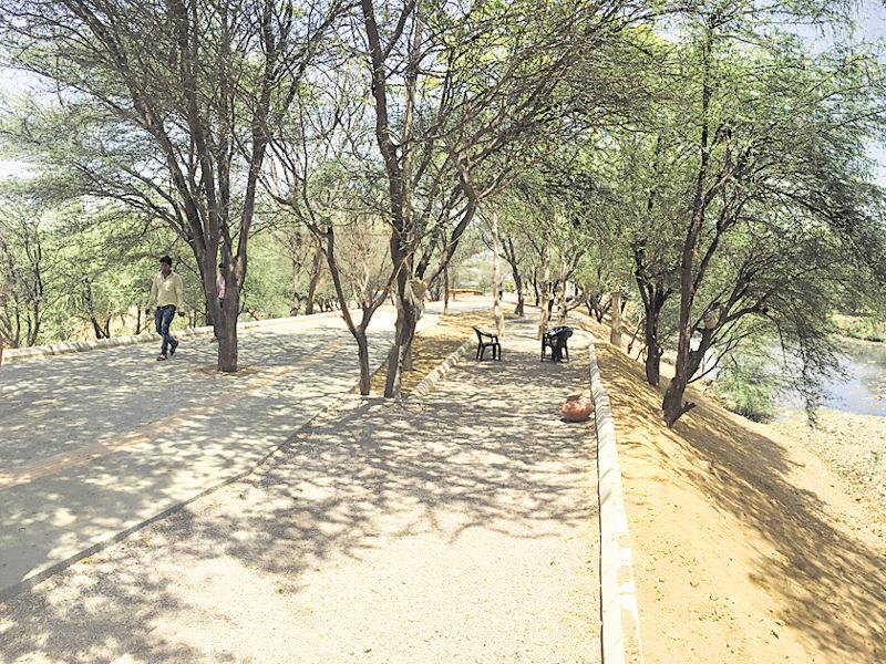 Forest dept tells Huda to stop work on Chakkarpur bundh | Hindustan Times