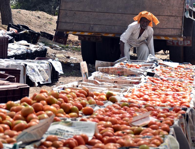 Tomato prices up in Indore as heatwave hits supply | Hindustan Times