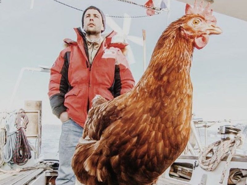 Meet Monique, the fearless hen who’s skateboarding, surfing across the ...