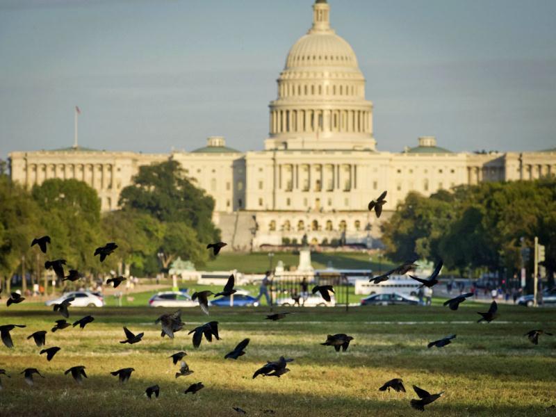 US Senate rejects gun-control measures after Orlando shooting | World ...