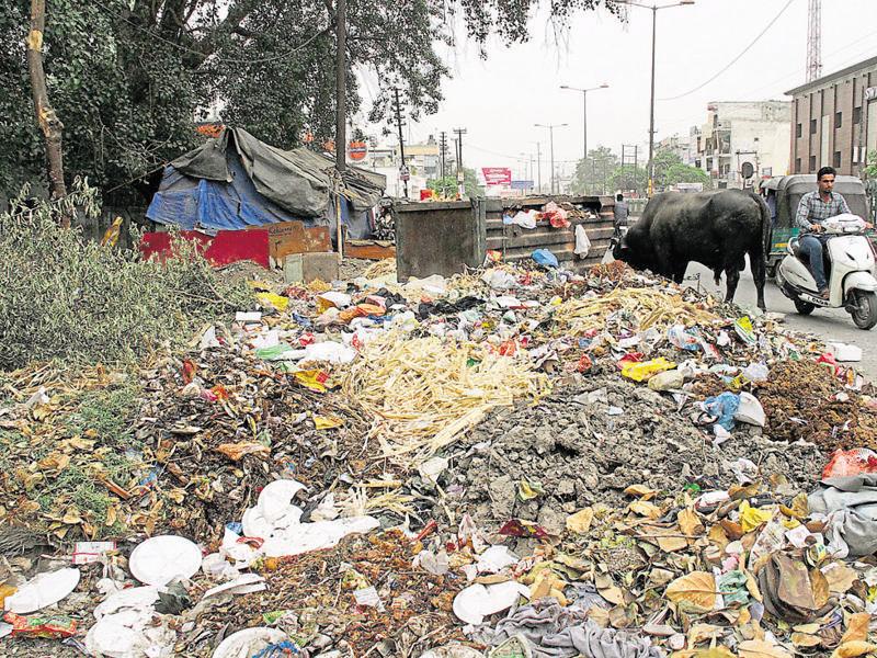 Inform on those dumping garbage in Ghaziabad, get 25% of fine ...