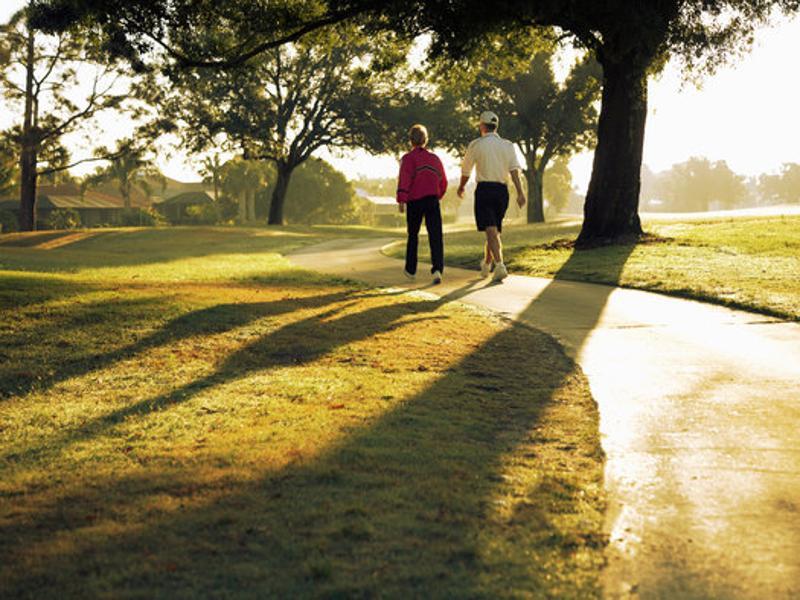 Study finds a short walk in nature helps reduce depression, high blood ...