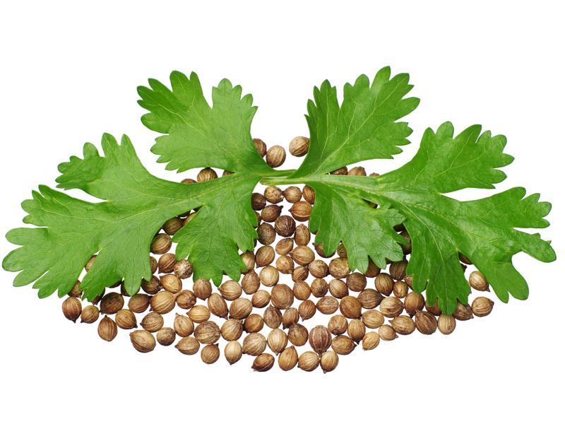 Musli or Muesli? Guide on foods that confuse | Hindustan Times