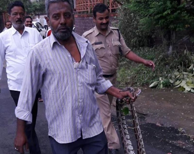 7-foot python found at Uma Bharti’s bungalow in Bhopal | Hindustan Times