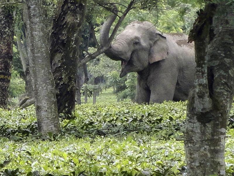 From DNA test to postmortem report, this Hyderabad lab plays CSI for ...