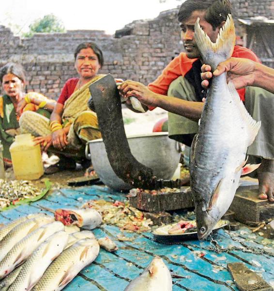 Jharkhand’s cities to be fish vendors free roads soon | Hindustan Times