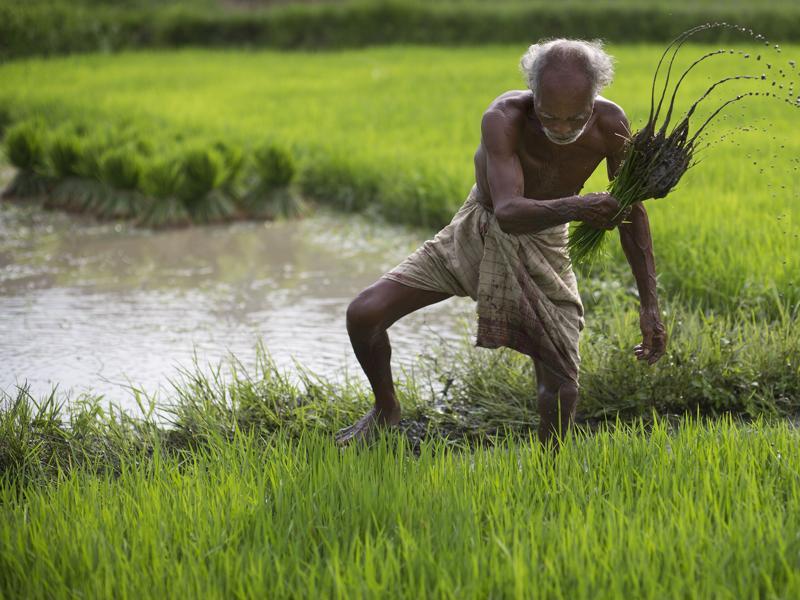 Timely and adequate monsoons cannot end the woes of farmers | Hindustan ...
