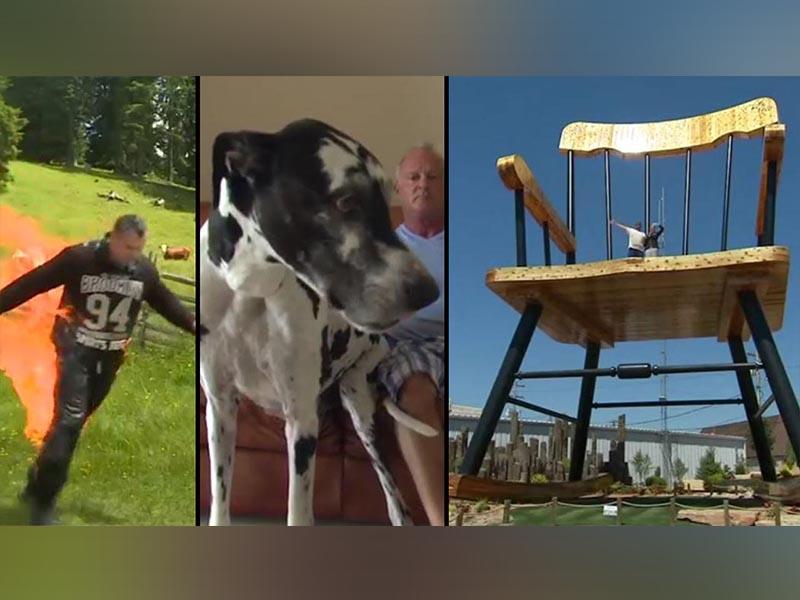 Watch | The 2017 Guinness World Records holders | Hindustan Times