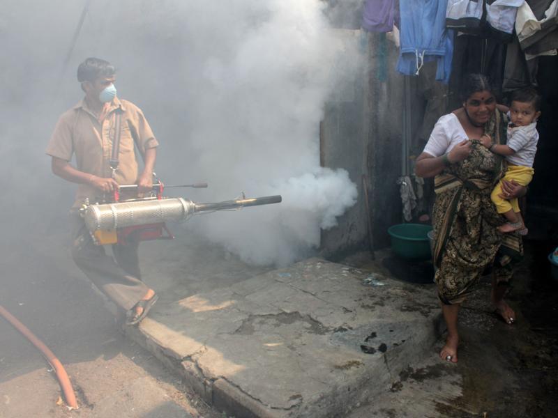 NIV to probe spurt in dengue cases | Mumbai news