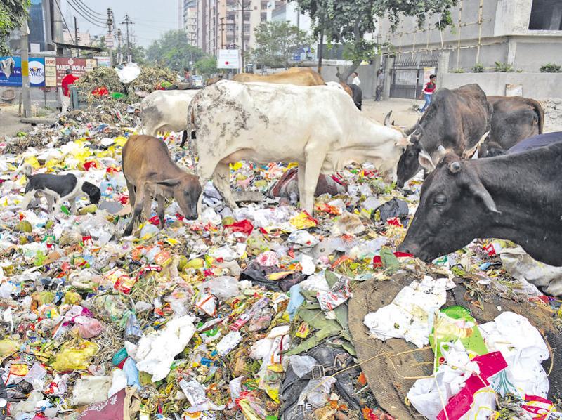Submit waste disposal action plan in a week: NGT to Ghaziabad ...