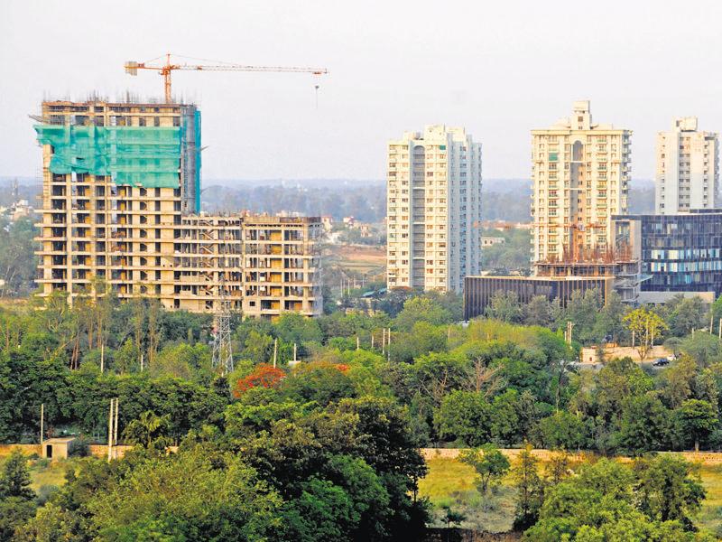 Increase forest cover to match population growth in Gurgaon: Activists ...