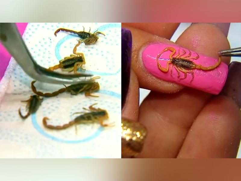 Watch | Scorpion manicure a new fad in Mexico | Hindustan Times