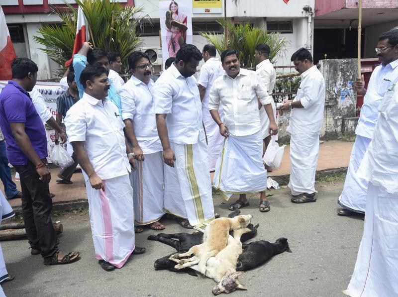 After subsidised air guns, gold coins for culling stray dogs in Kerala ...